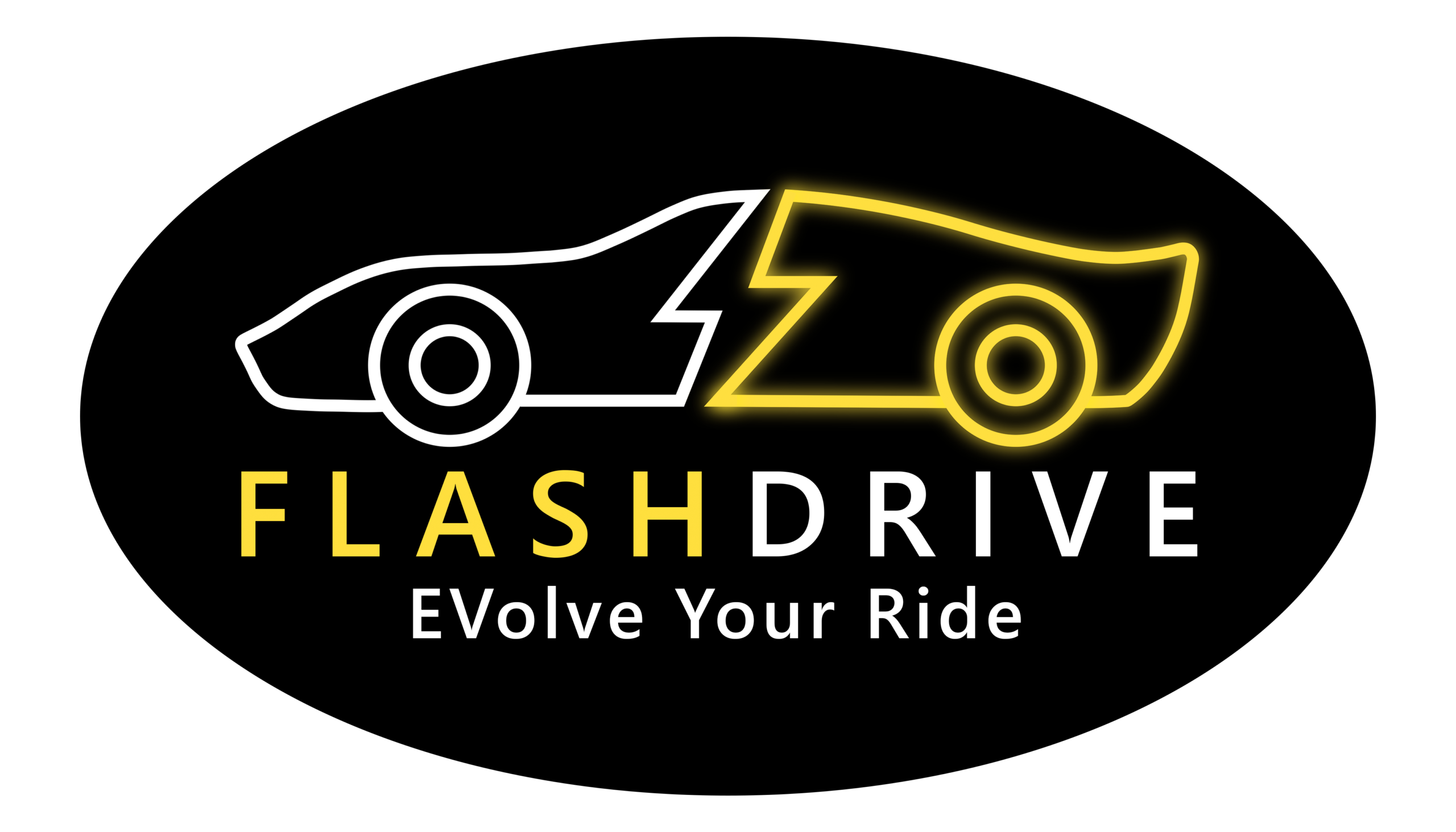 Flash Drive Logo